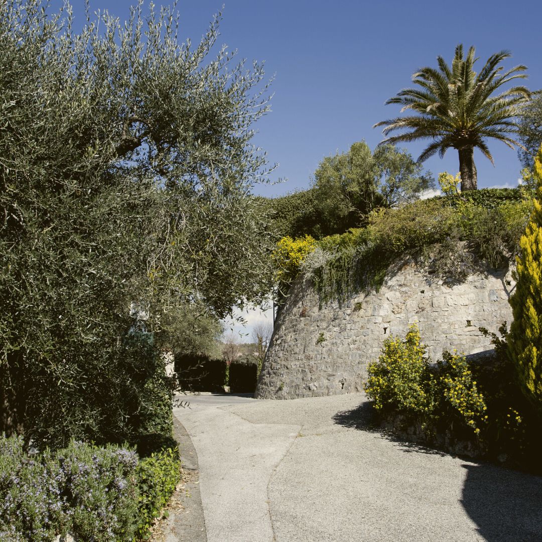 10 Raisons D'aller Vivre à Opio Sur La Belle Côte D'Azur